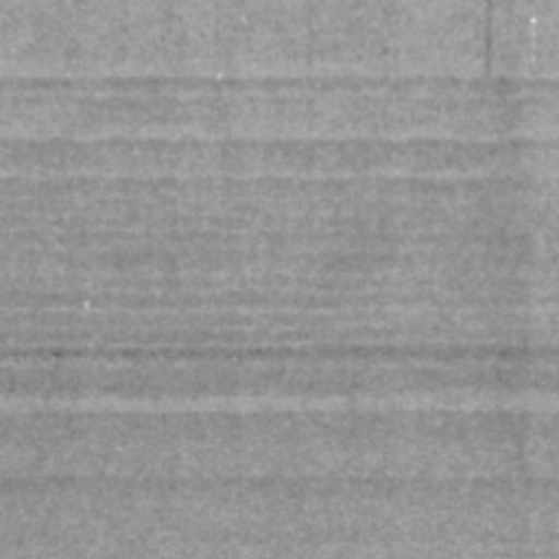 Common LPBF defects | Euler docs